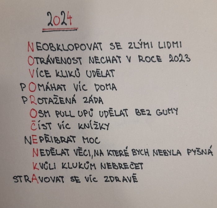Novoroční akrostich :: Kvarta píše blog